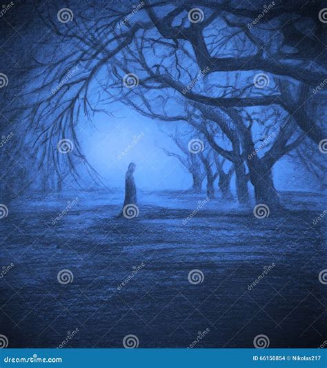 Twilight Forest Background Scary Fashion Landscape Vector Image 274943982