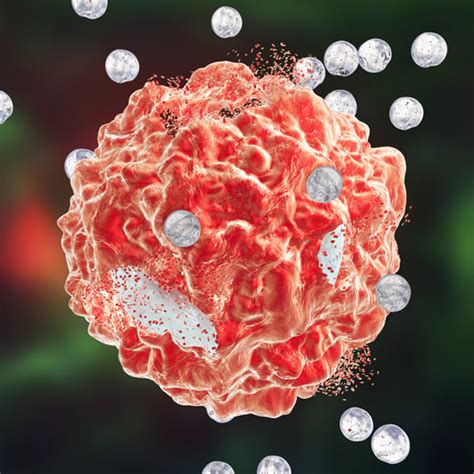 Preclinical Models For Bispecific T Cell Engager Development