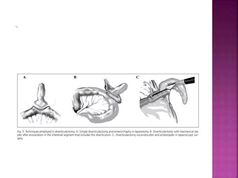 Git Pathology Lecture Pptx