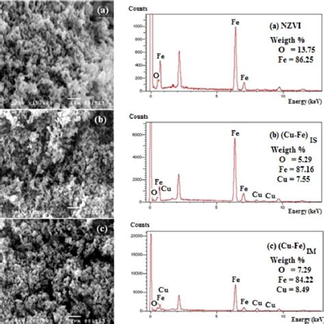 sem images and the edx profiles of a nzvi b cu fe is and c