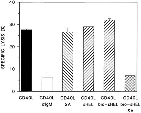 cross linking shel induces fas resistance in tolerant b cells primary
