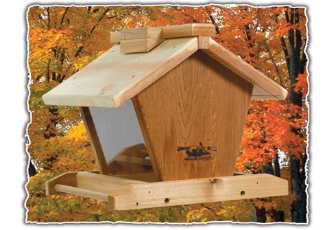 Bird Feeders General Knowledge
