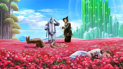 Pin By Denise Caserotti On Wizard Of Oz Wizard Of Oz Movie The Wonderful Wizard Of Oz Wizard