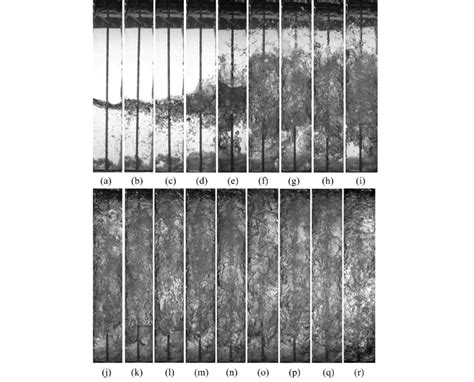 Visualization Of Circulatory Flash Evaporation Phenomenon At Different Download Scientific