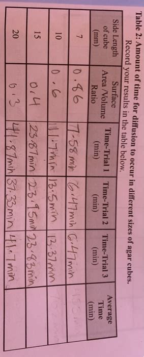 Solved Table 2 Amount Of Time For Diffusion To Occur In