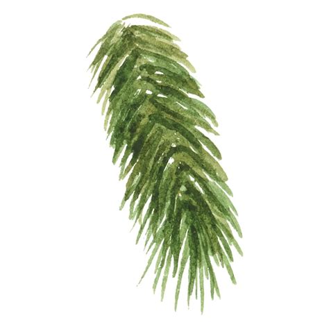 Premium Vector Abstract Vector Watercolor Illustration Of Spruce