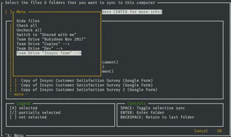 Insync The Hassleless Way Of Using Google Drive On Linux