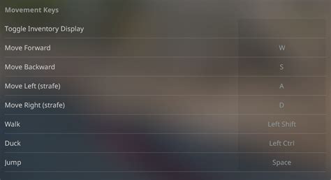 An Overview Of The Best Keybinds For Cs2 Dignitas
