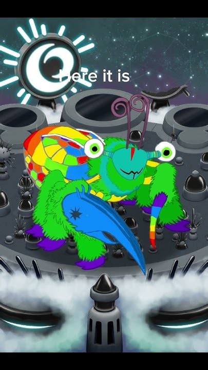 Rare Buzzinga Youtube