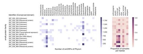 Small Proteins Big Potential The Global Microbial Small Orfs Catalog
