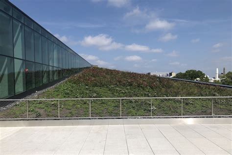 A Look Inside Temples New 175 Million Charles Library