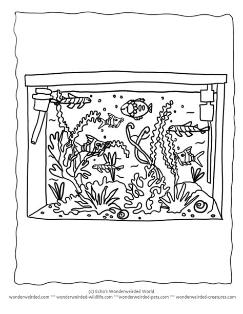 Aquarium Plants Coloring Pages