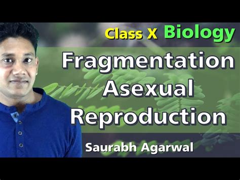 Fragmentation Reproduction