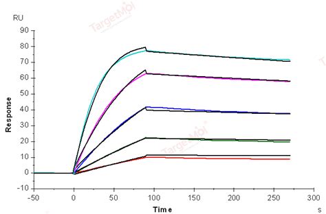 Tnf Alpha Protein Human Recombinant Targetmol