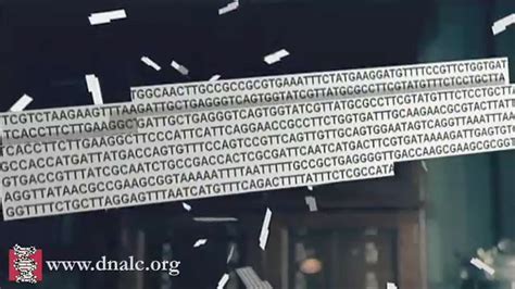 biology animations cshl dna learning center