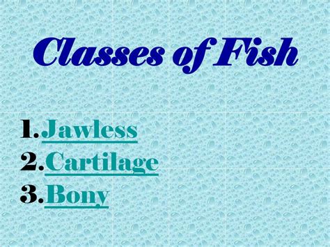 Ppt Classifying Fish Powerpoint Presentation Free Download Id4862992