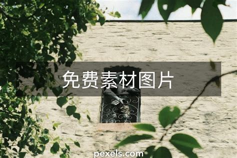 500 张最精彩的“ruby Armor”图片 · 100 免费下载 · Pexels素材图片