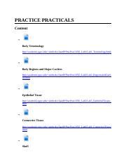 PRACTICE PRACTICALS Docx PRACTICE PRACTICALS Content Body Course Hero