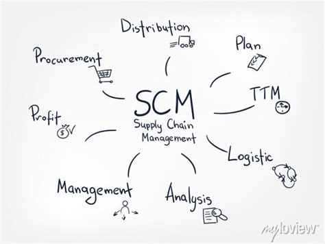Scm Vector Line Doodle Hand Written Illustration Simle Word Cloud