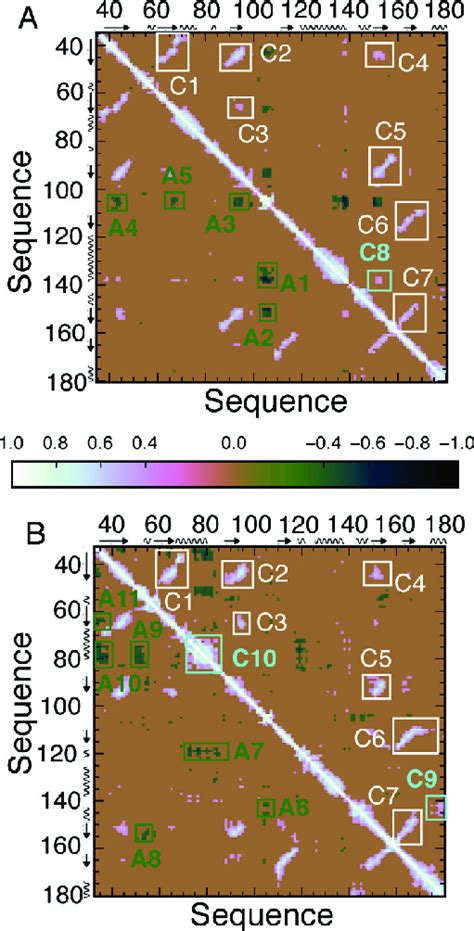 Dynamic Cross Correlation Matrix DCCM Of Ca Atoms Of Residues 35 180 Download Scientific