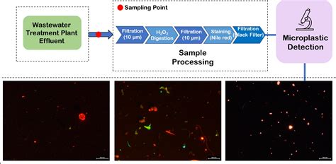 News About Micropastics Detection Wasser 30