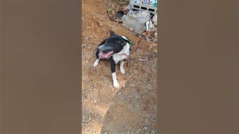 วงการหวยคงไม่รอด หรือจะเข้าวงการแชร์ดี Youtube