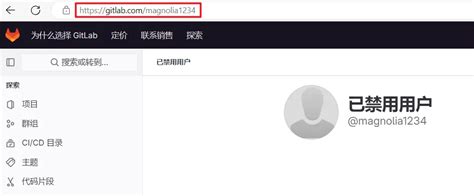 绕过付费墙王者归来 Bypass Paywalls Clean 老e的博客
