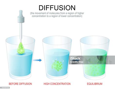 Diffusion Experiment With Water In Glasses Pipette With Dye And