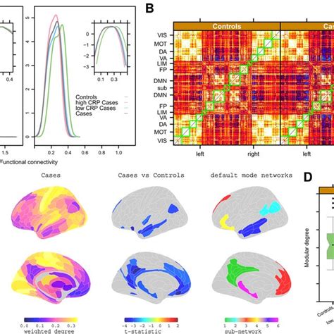 Functional Connectivity Depression Related Differences A Left Group Download Scientific