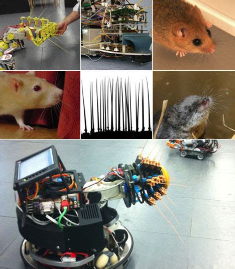 New Method Of Tactile Sensing For Robots Whiskers Core77