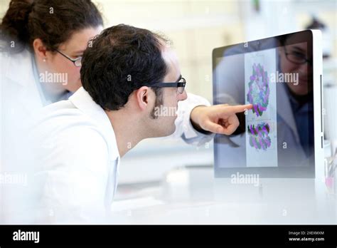 3d Computational Model Of Dna Packaging Research Lab Ikerchem