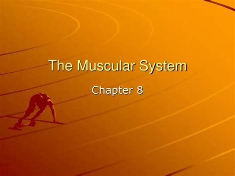 Ppt The Muscular System Powerpoint Presentation Free Download Id