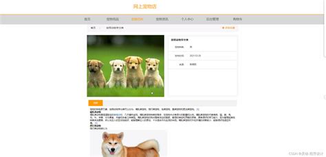 Springbootjavaphpnodepython网上宠物店【计算机毕设】 Csdn博客