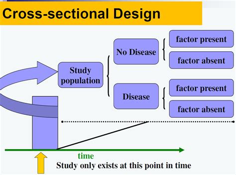Cross Sectional Study