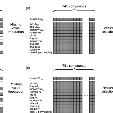 Workflow Of Our Novel Human Cl Tot And Vd Ss Prediction Method A Cl