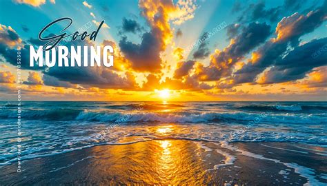 Good Morning Wishes Image With Yellow Flowers And Motivational Quotes
