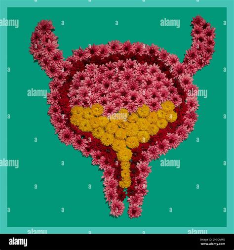 Flower Installation Of Human Bladder On Green Background Concept Of Bladder Health Part Of