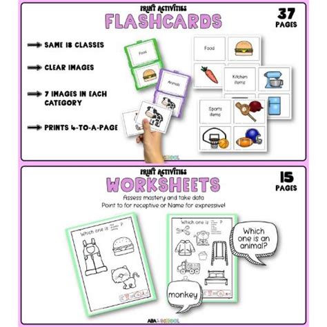 Labeling Class Feature Function Class Activity Aba In School