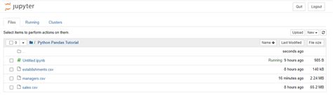 Importing Csv Files With Python Pandas — Cojolt