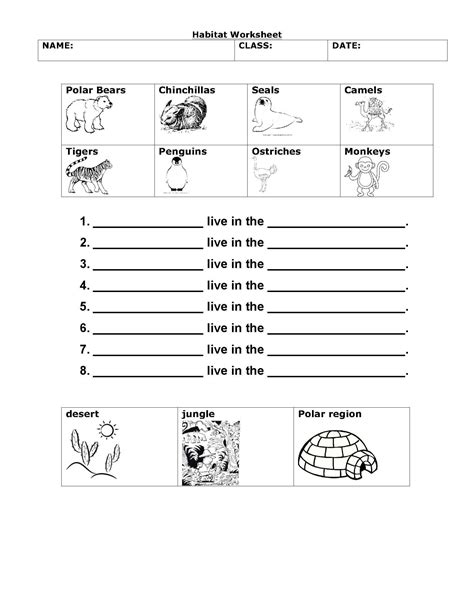 2nd Grade Science Worksheets Free Printables