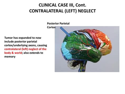 Vanderbilt University School Of Medicine Ppt Download