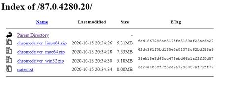 VBA Excel Word Accessなど からSeleniumを利用可能にする IceProbe