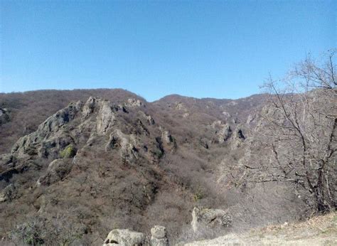 მომთაბარე