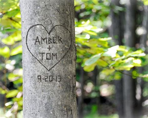 Personalized Names Carved In Tree
