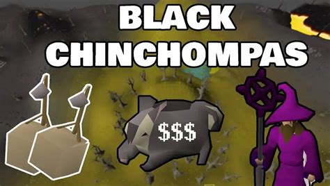 Osrs Black Chinchompas Guide Best Osrs Guides
