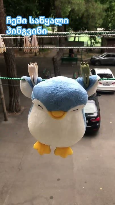 საწყალი Youtube