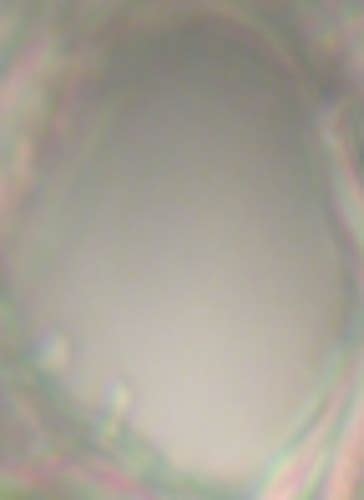 Cosc 495 Mini Object Detection Dataset And Pre Trained Model By Dan