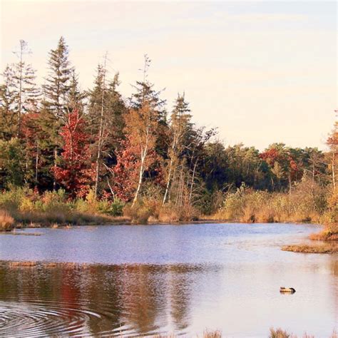 ‎apple Music에서 감상하는 클래식자장가 피아노의 피아노자장가 꿀잠을 부르는 자장가 연주곡으로 명상에서 숙면까지 도와주는 깊은잠을 위한 수면 힐링 뉴에이지 클래식