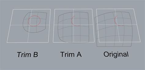 Bug In Intersect Section Contour Project Split Trim Etc Rhino Mcneel Forum