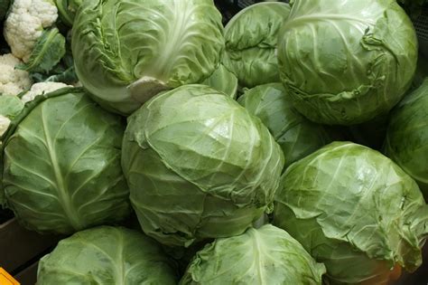 Немецкий врач Франциски Рубин назвала 10 продуктов, которые заменяют ...